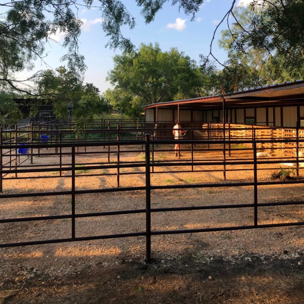 Continuous Fence - DuBose Pipe and Gate